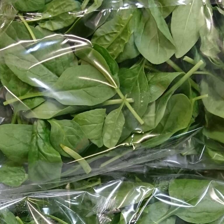 FRESH BABY SPINACH BAG - Out of the Blue Fishmongers, Chorlton-cum ...