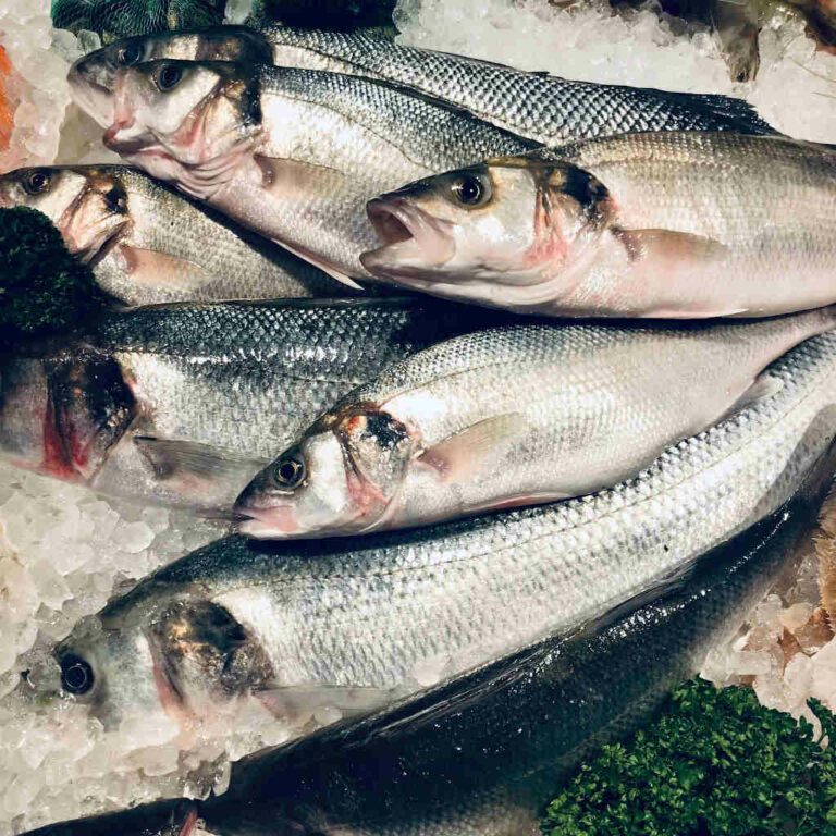 FRESH WHOLE WILD SEA BASS 1-2KG FISH - Out of the Blue Fishmongers ...